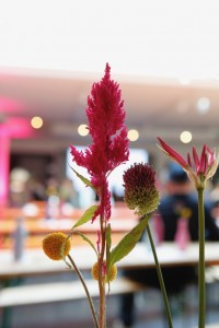 Internationale Konferenz. Farbe im Design – The Value of Color | studio